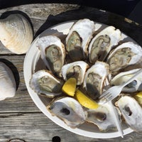 Menemsha Fish Market - 13 tips from 353 visitors