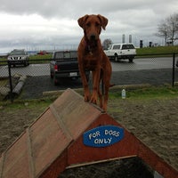 Edmonds Off-Leash Dog Park - Dog Run