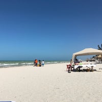 Progreso - 100 tips from 8876 visitors