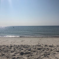 Dowses Beach - 8 tips from 499 visitors