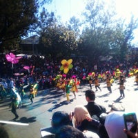 Session Road In Bloom - Flea Market