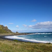 Cape Palliser - Other Great Outdoors in Wairarapa