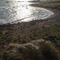 Cape Palliser - Other Great Outdoors in Wairarapa