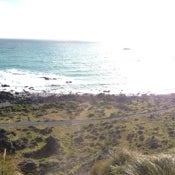 Cape Palliser - Other Great Outdoors in Wairarapa