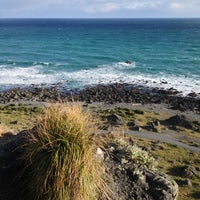 Cape Palliser - Other Great Outdoors in Wairarapa