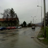 Aleksinac - City