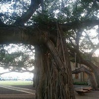 Lahaina Banyan Court Park - Park in Lahaina