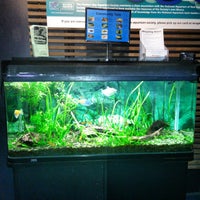 National Aquarium of New Zealand - 3 tips from 356 visitors