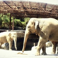 Photos at Tehran Zoo | باغ وحش تهران - منطقه ۵ - Eram Park