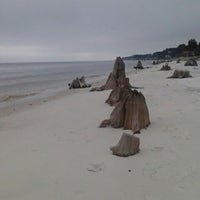 Carabelle beach - 278 visitors