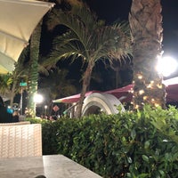 Menu - Sugar Factory (Miami) - Flamingo-Lummus - 1144 Ocean Dr