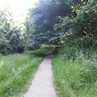 Discovery Park Loop Trail - Trail in Seattle