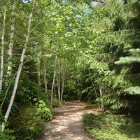 Mytoi Gardens - 1 tip