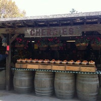 Avila Valley Barn - Farm