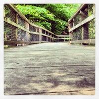 Cunningham Falls State Park - 10 tips from 1491 visitors