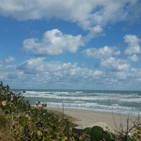Loggerhead Beach - Beach