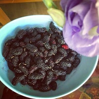 Amol | آمل - City