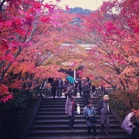 永観堂 禅林寺 (Eikan-do Temple) - 左京区永観堂町48