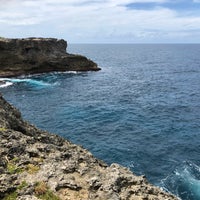 Animal Flower Cave - Cave