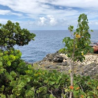 Animal Flower Cave - Cave