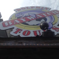 Baywatch Dolphin Tours - Galveston Harbor - 9 tips from 327 visitors