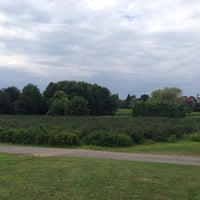 Greig's Farm - 5 tips from 325 visitors