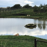 Yorkshire Wildlife Park - Zoo in Doncaster