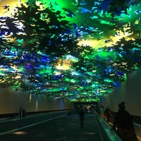 Gate B11 - Concourse B