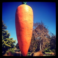 The Giant Carrot - Monument / Landmark in Ohakune