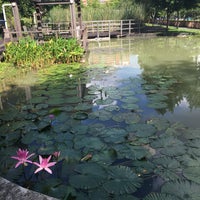 Alexandra Park Connector - Central Region - Along Alexandra Canal