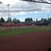 Melaleuca Field - 8 tips