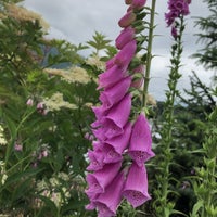 Sitka National Historical Park - Sitka, AK