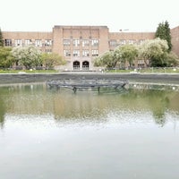 UW: Drumheller Fountain - University District - 10 tips from 1062 visitors