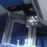 Transnica - Bus Line