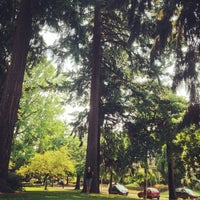 Oregon Park - Playground in Kerns