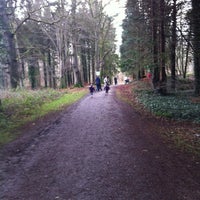 Donadea Forest Park - Donadea