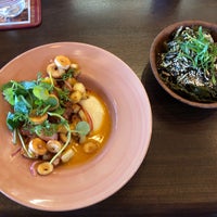 Wolf in the Fog - 20 tips from 350 visitors