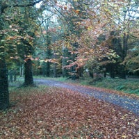 Donadea Forest Park - Donadea