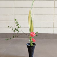 San Francisco County Fair Building - Golden Gate Park - 1 tip