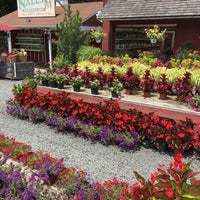 Nalls Produce - 11 tips from 236 visitors