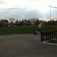 Locust Point Dog Park - Dog Run in Baltimore