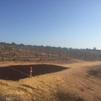 Vena Cava Vinícola - Rancho San Marcos, Toros Pintos, Valle de Guadalupe