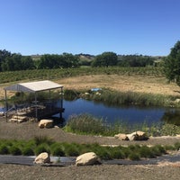 Beckman Vineyards - Vineyard