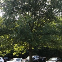 Lums Pond State Park - Park