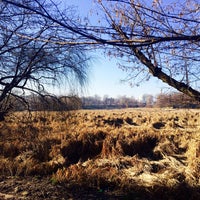 Parcul Bordei - Primăverii - str. I. S. Turgheniev