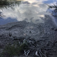 Mud Pool - Other Great Outdoors in Waiotapu