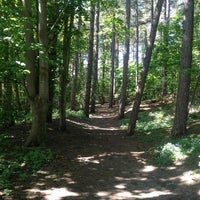 Ainsdale Sand Dunes National Nature Reserve - Pinfold Lane