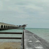 Progreso - 101 tips from 8635 visitors