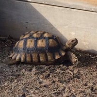 Surfin' Turtle Ice Cream Shop - 8 tips