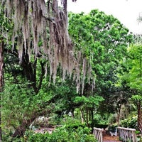 Dickson Azalea Park - Lawsona- Fern Creek - 100 Rosearden Drive